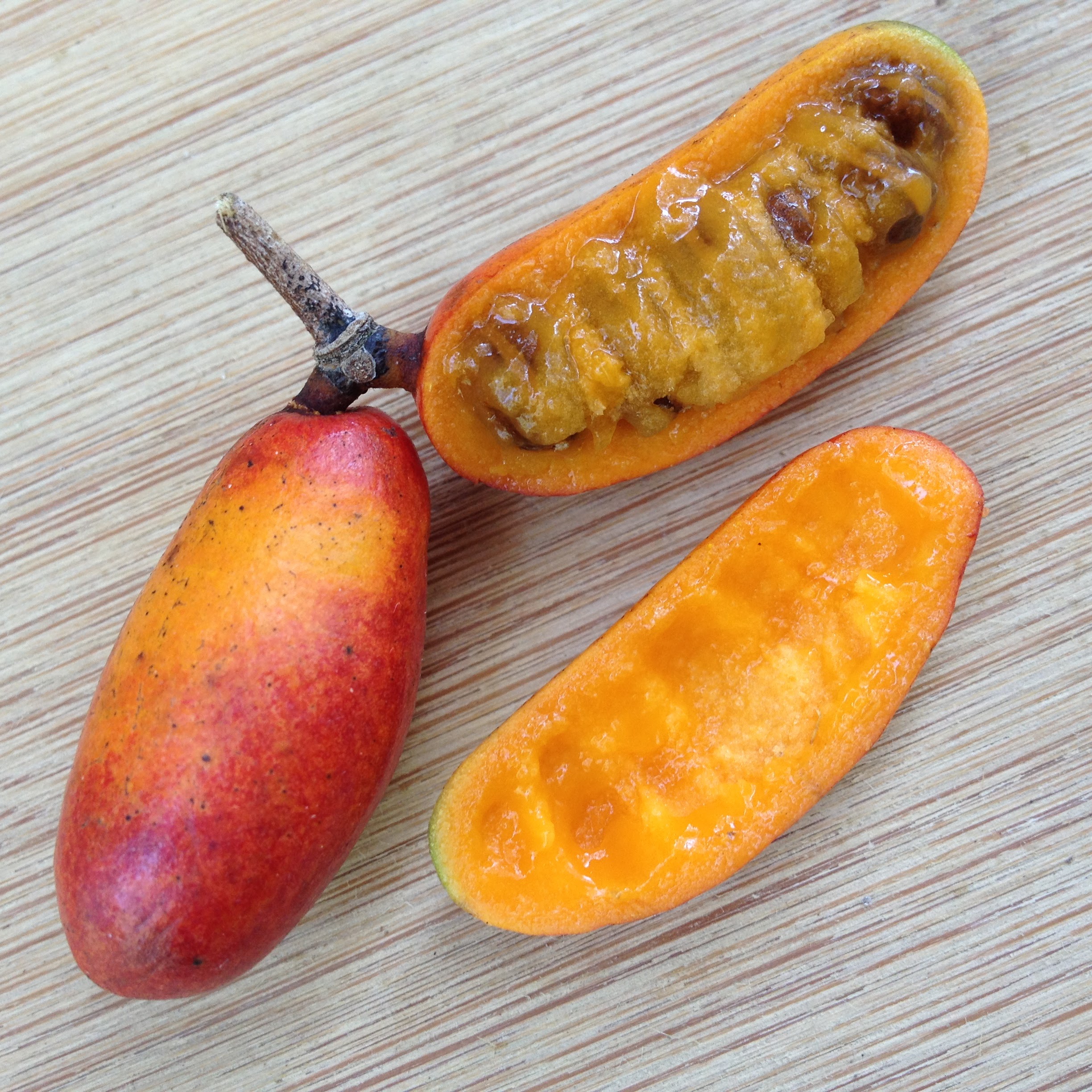 I got to taste a kind of fruit that dinosaurs ate – Florida Fruit Geek