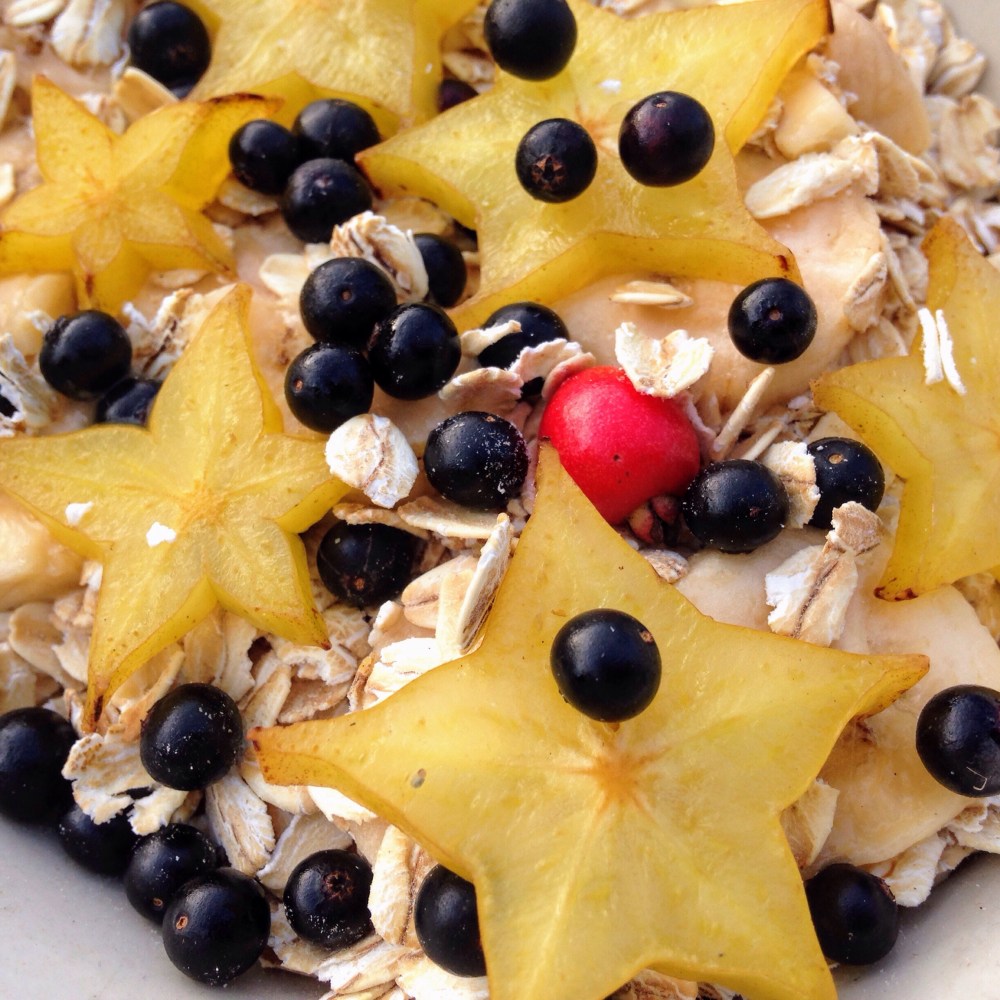 Sparkleberry: The wild blueberry cousin that supplies me with ...