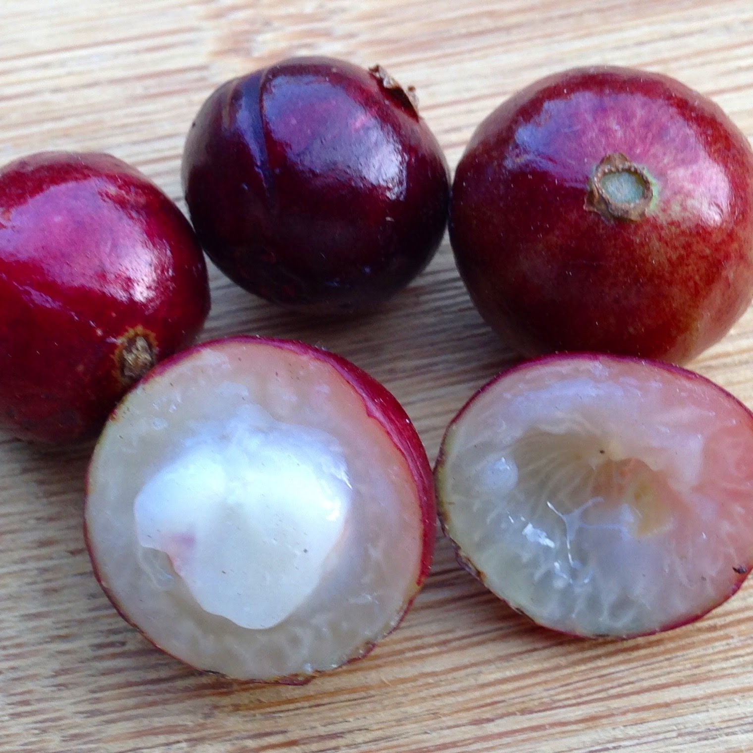 Jaboticaba has some tasty cousins – Florida Fruit Geek