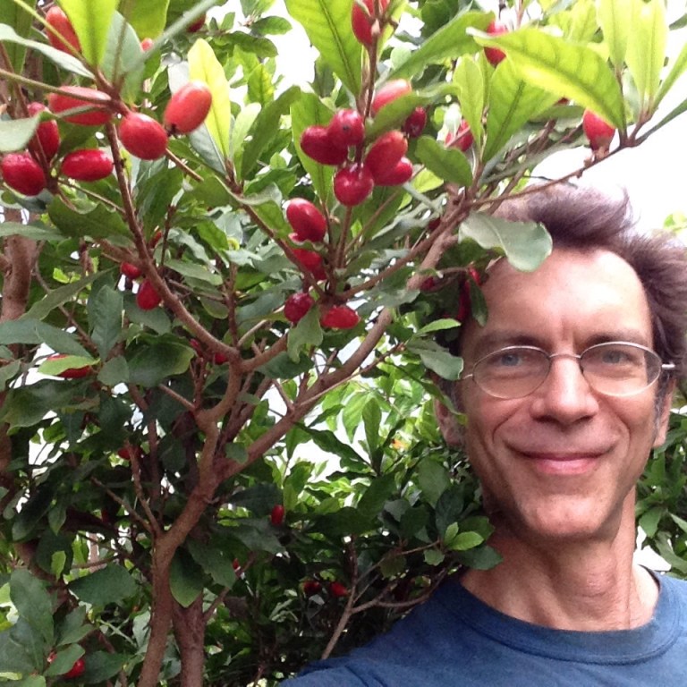 The magical sweetening power of miracle fruit – Florida Fruit Geek