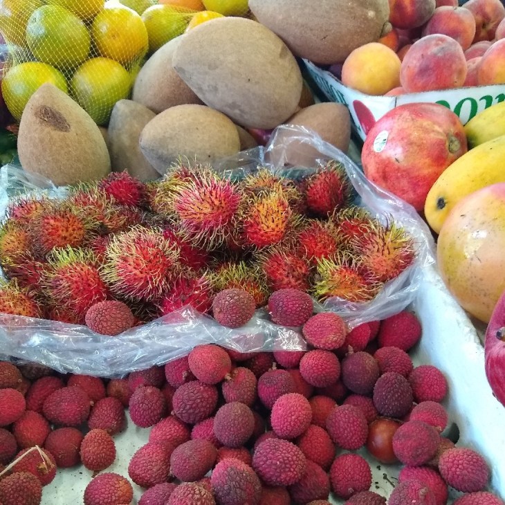 Where to get tropical fruits in South Florida – Redland Market Village ...