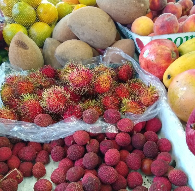 Where to get tropical fruits in South Florida – Redland Market Village ...