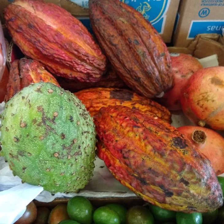 Where to get tropical fruits in South Florida – Redland Market Village ...