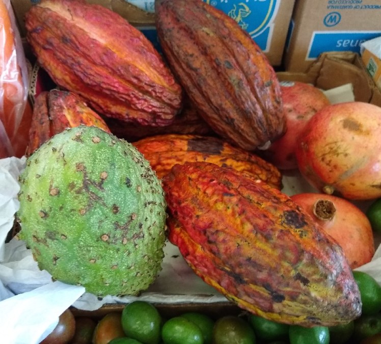 Where to get tropical fruits in South Florida – Redland Market Village ...