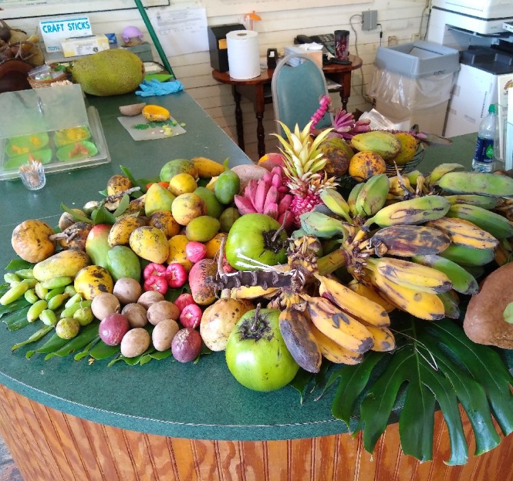 Fruit and Spice Park: The all-you-can-eat tropical fruit botanical ...